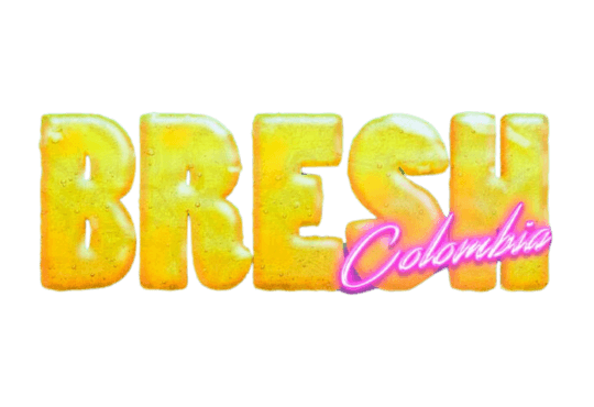 Boletas Bresh | Bogotá | 2024 | Alcancías Armatuvaca